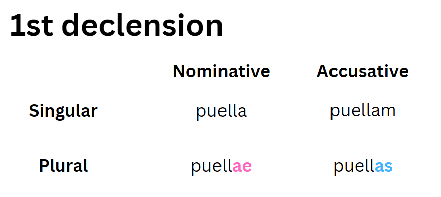 Easy Latin Part 8: Plural Latin Nouns - by Ellen