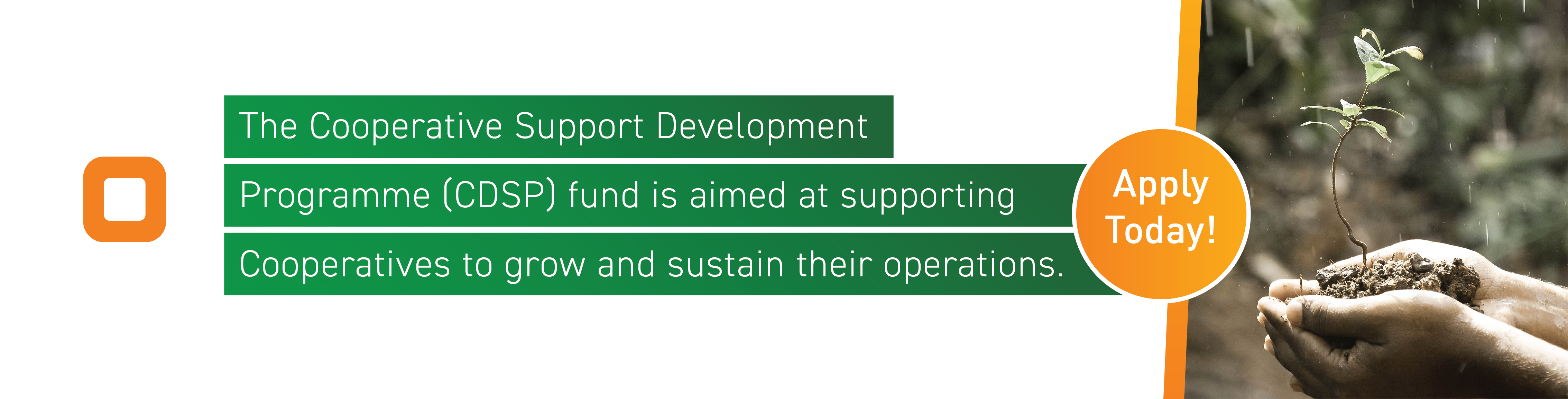 Cooperative Development Support Programme (CDSP)