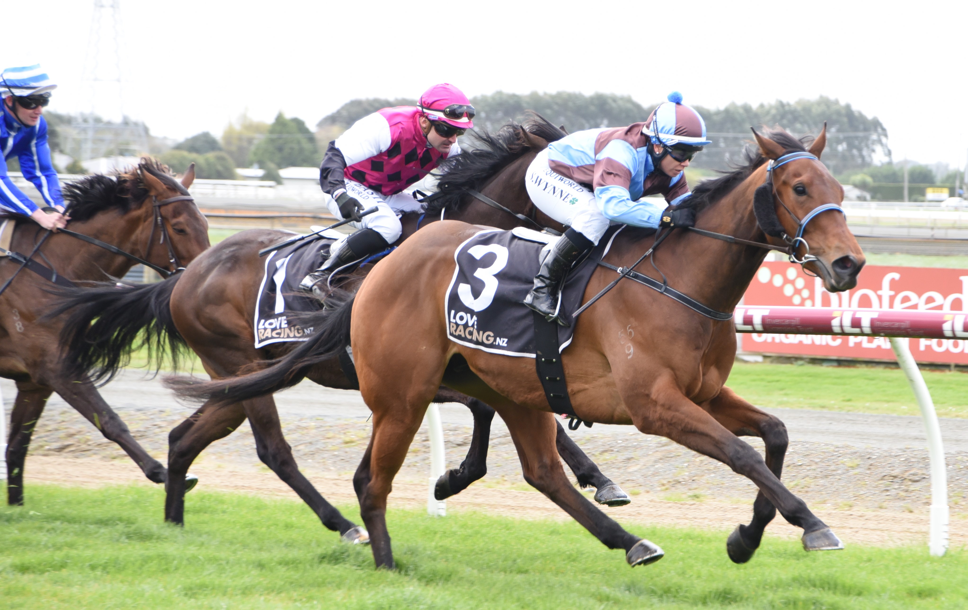 Top jockey important factor in owners' success