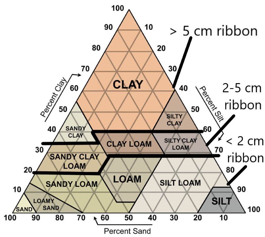 Soil Science 101: What Makes Soil Healthy and How to Improve Yours
