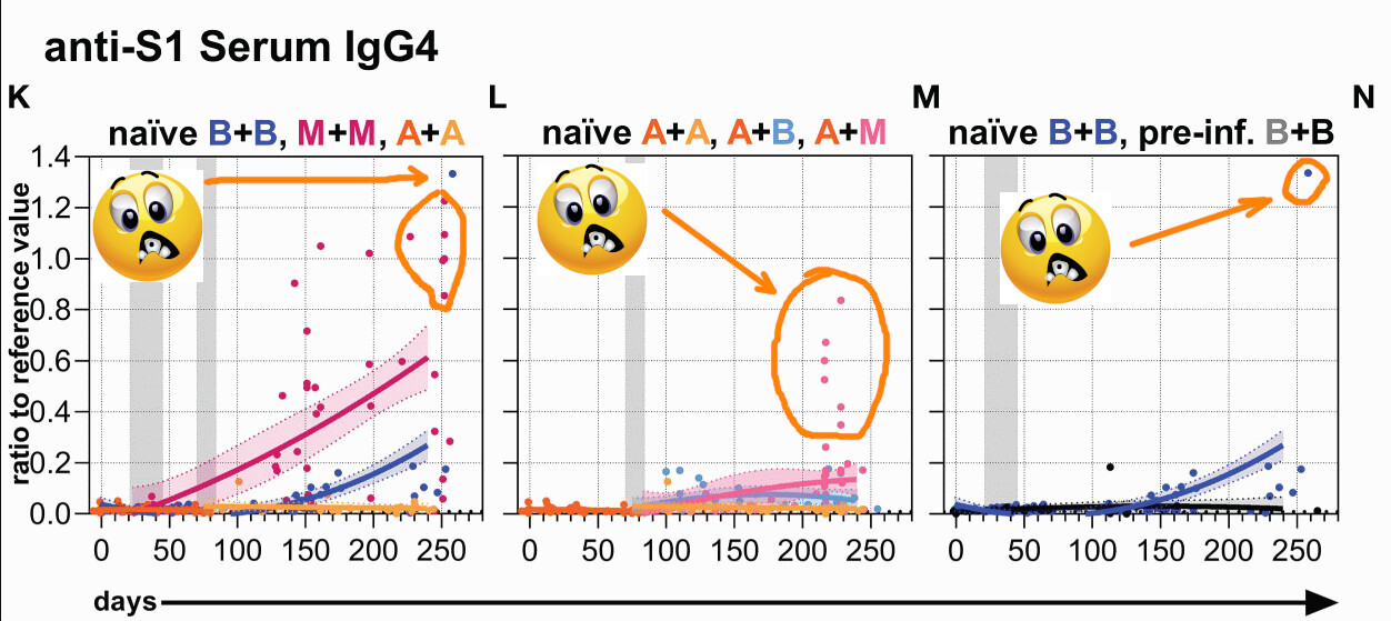 Immune Tolerance: IgG4 Class Switch Starts with Even Two Doses of mRNA Vaccines