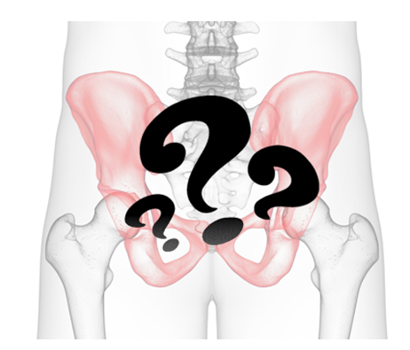 Clinician’s Corner: Differentiating Hip Joint, SIJ, and Lumbar Spine Pain