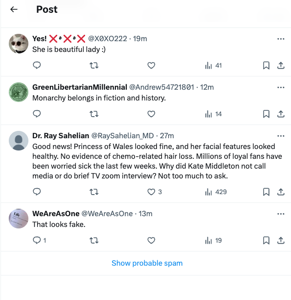 X changes 'show more replies' to 'probable SPAM' – but also hides ...