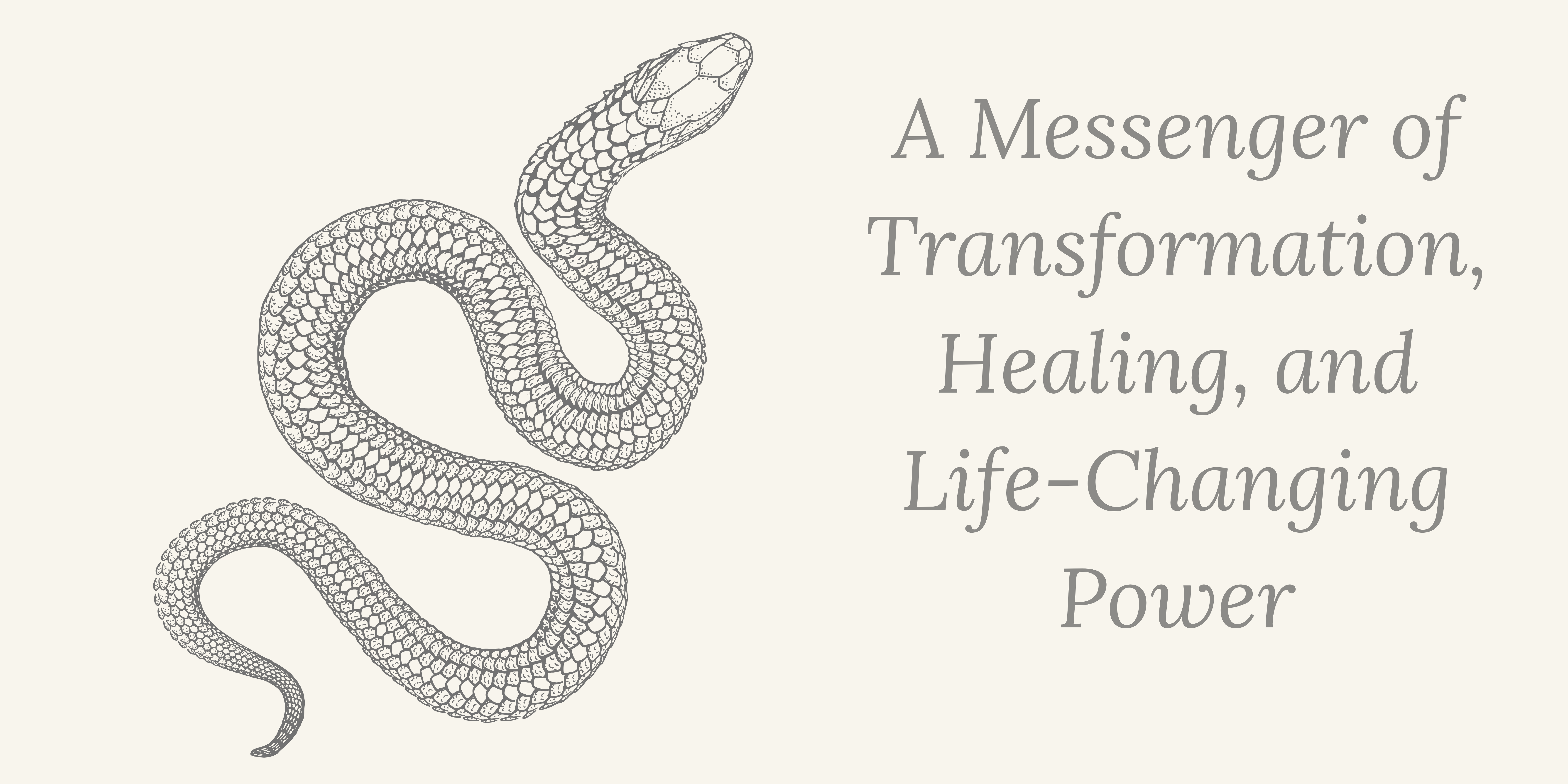 Snake Spirit Animal: What It Means If You See Snakes
