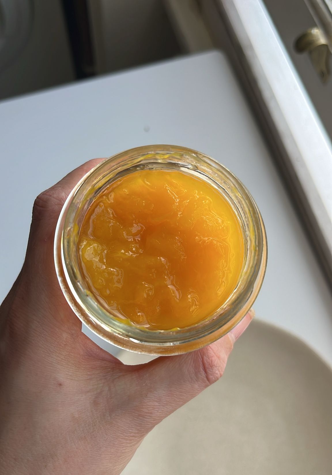 Kitchen Project #139: Everything Mango - by Nicola Lamb