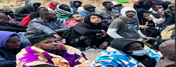 BORDER TRUTH - Military Aged Men