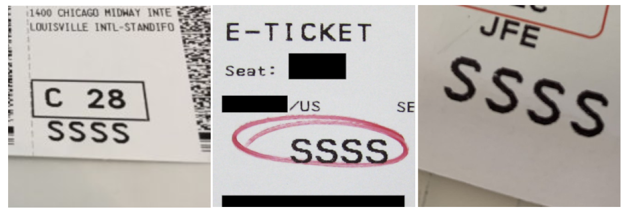 American Stasi: Tulsi Gabbard Confirms "Quiet Skies" Nightmare