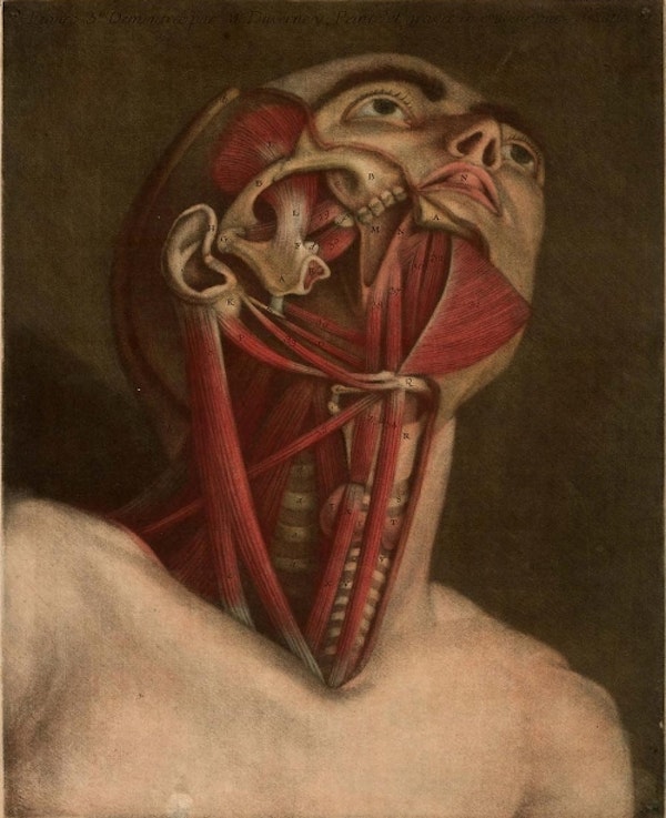 The Disturbing Rise of Splatterpunk - by Sam Ballantyne