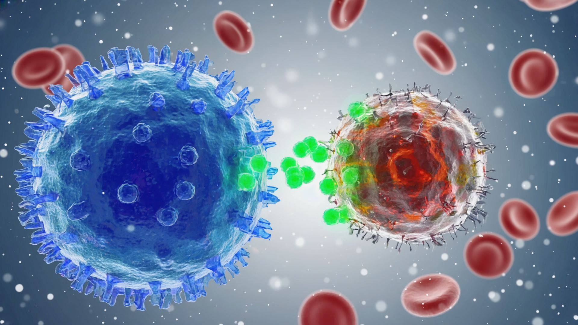 The Cellular Architecture of Immunity: A Systems Overview of Human ...