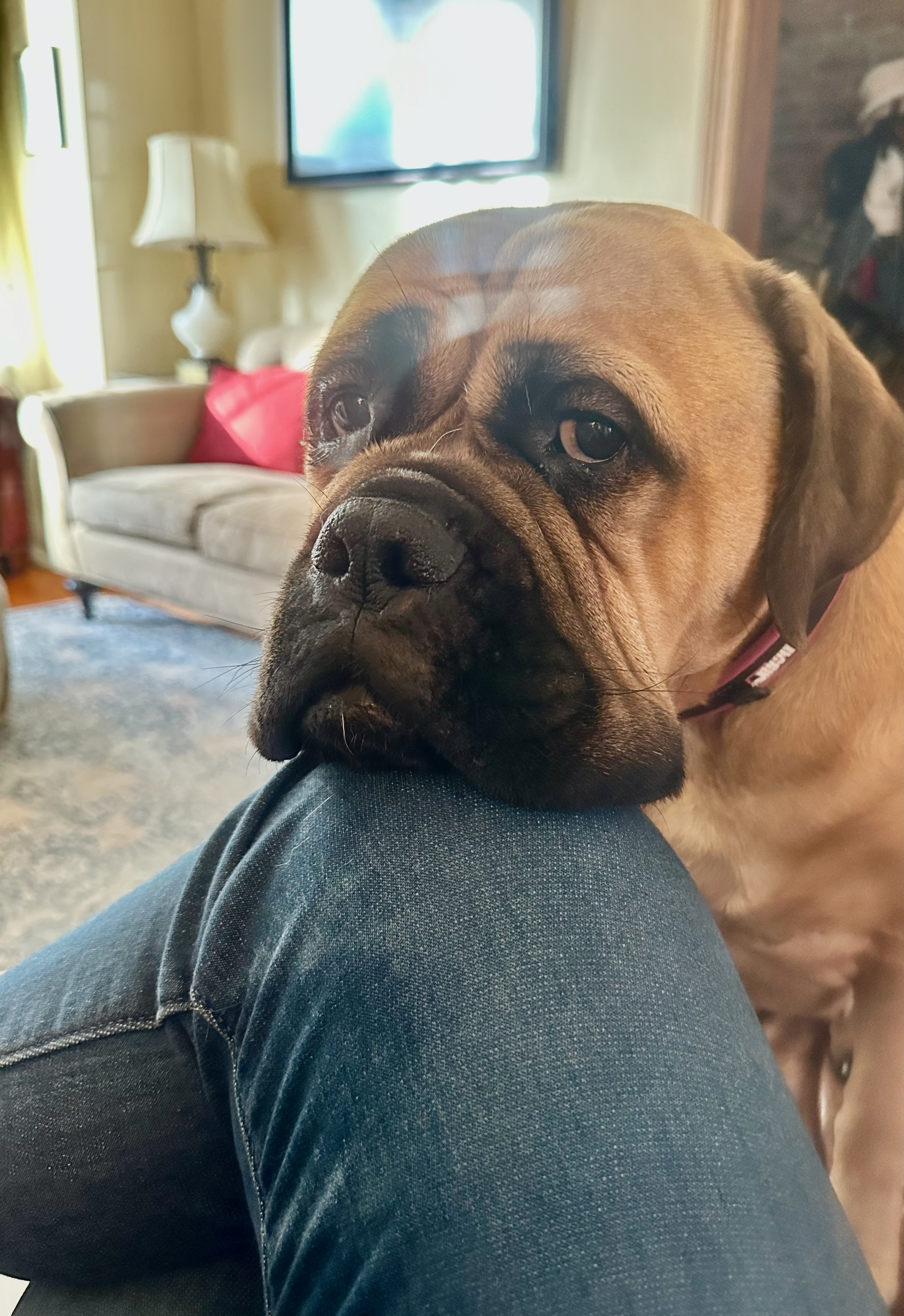 Cocktails With Suderman | Peter Suderman | Substack