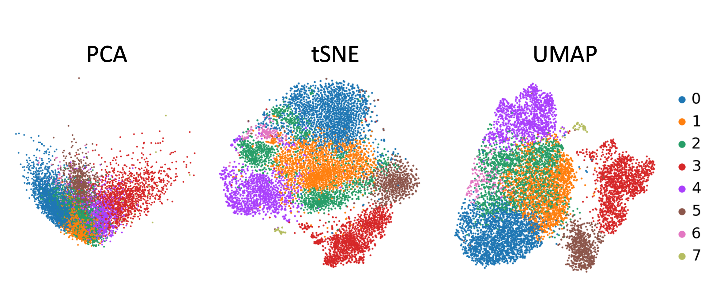 Tutorial Non Linear Dimensionality Reduction Techniques For Single Cell Transcriptomics