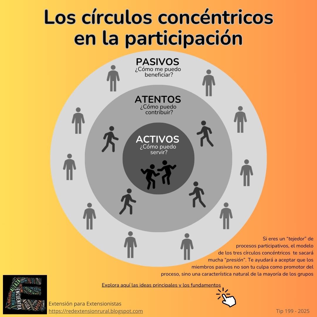 Los círculos concéntricos de la participación