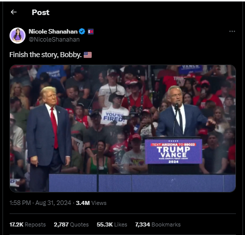 Big E on Substack: "Finish the story, Bobby. Another brilliant campaign ad posted by Nicole ...