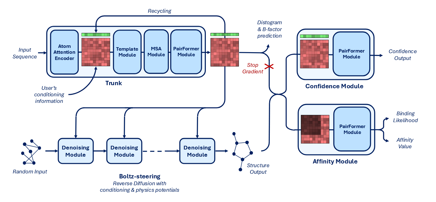 Boltz-2: The New Benchmark for AI-Driven Binding Affinity Prediction in ...