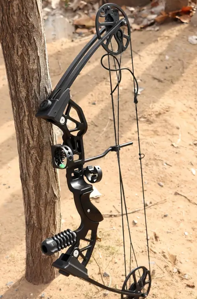 Top 10 Compound Bows on Temu with Big-Brand Quality at Half the Price