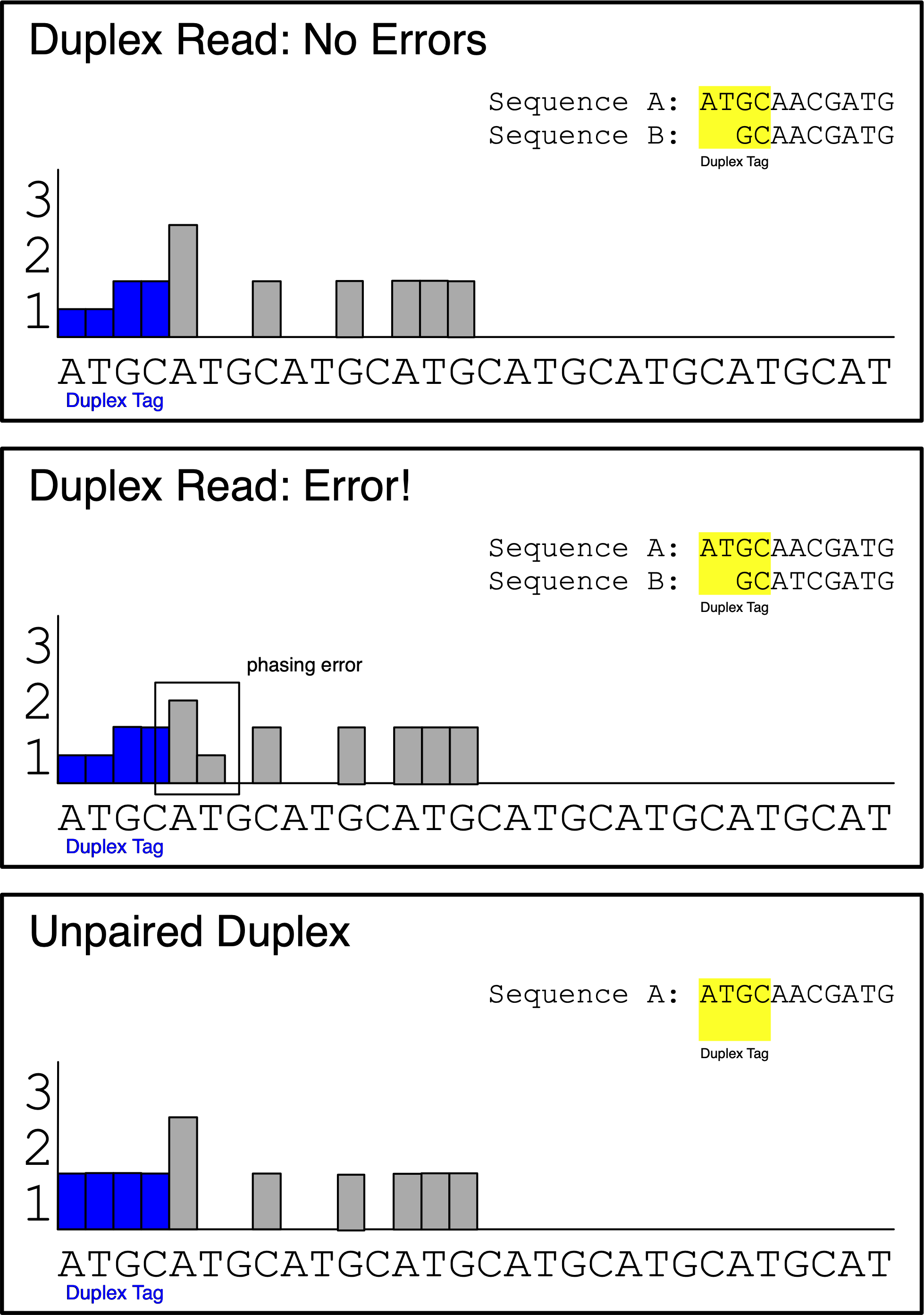 What The H*ll Is PPMSeq? - by Nava Whiteford