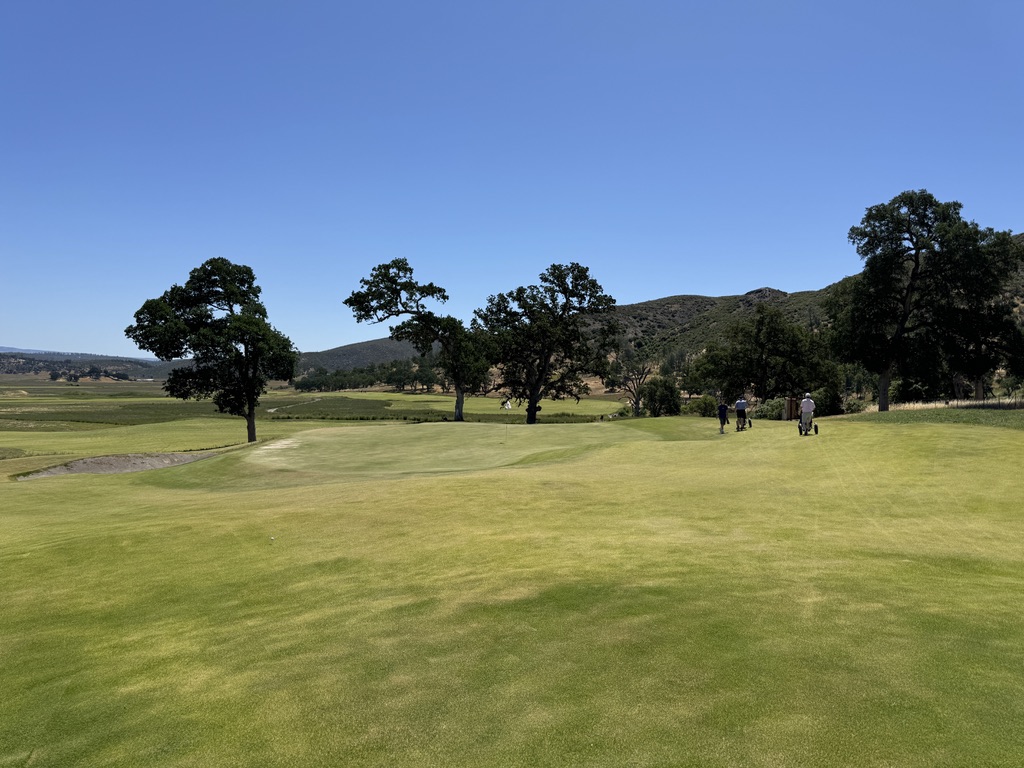 Brambles Golf - by Matthew Greber - Greebs In Regulation