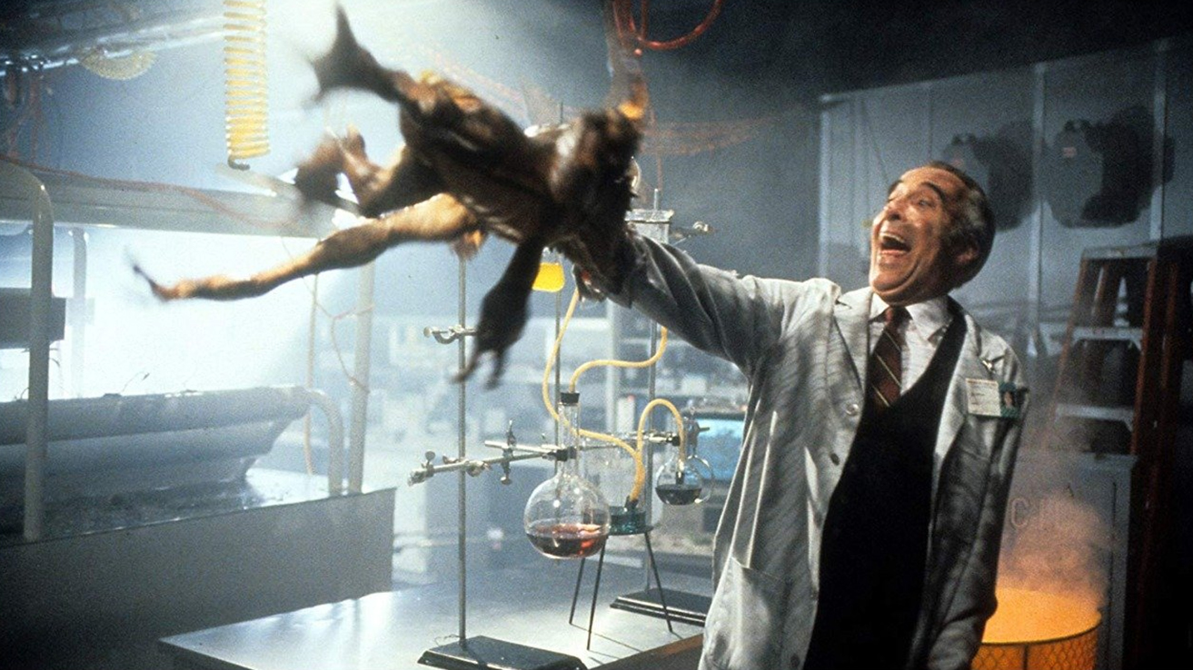 35 Years Later: Gremlins 2: The New Batch Remains One of the Most ...