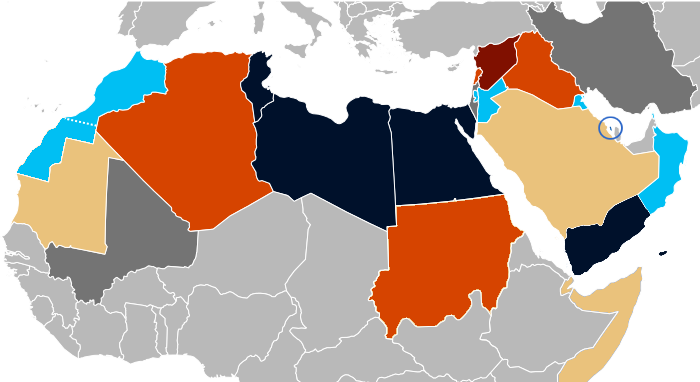 The Arab Spring: Mutual Aid in the Fight for Freedom