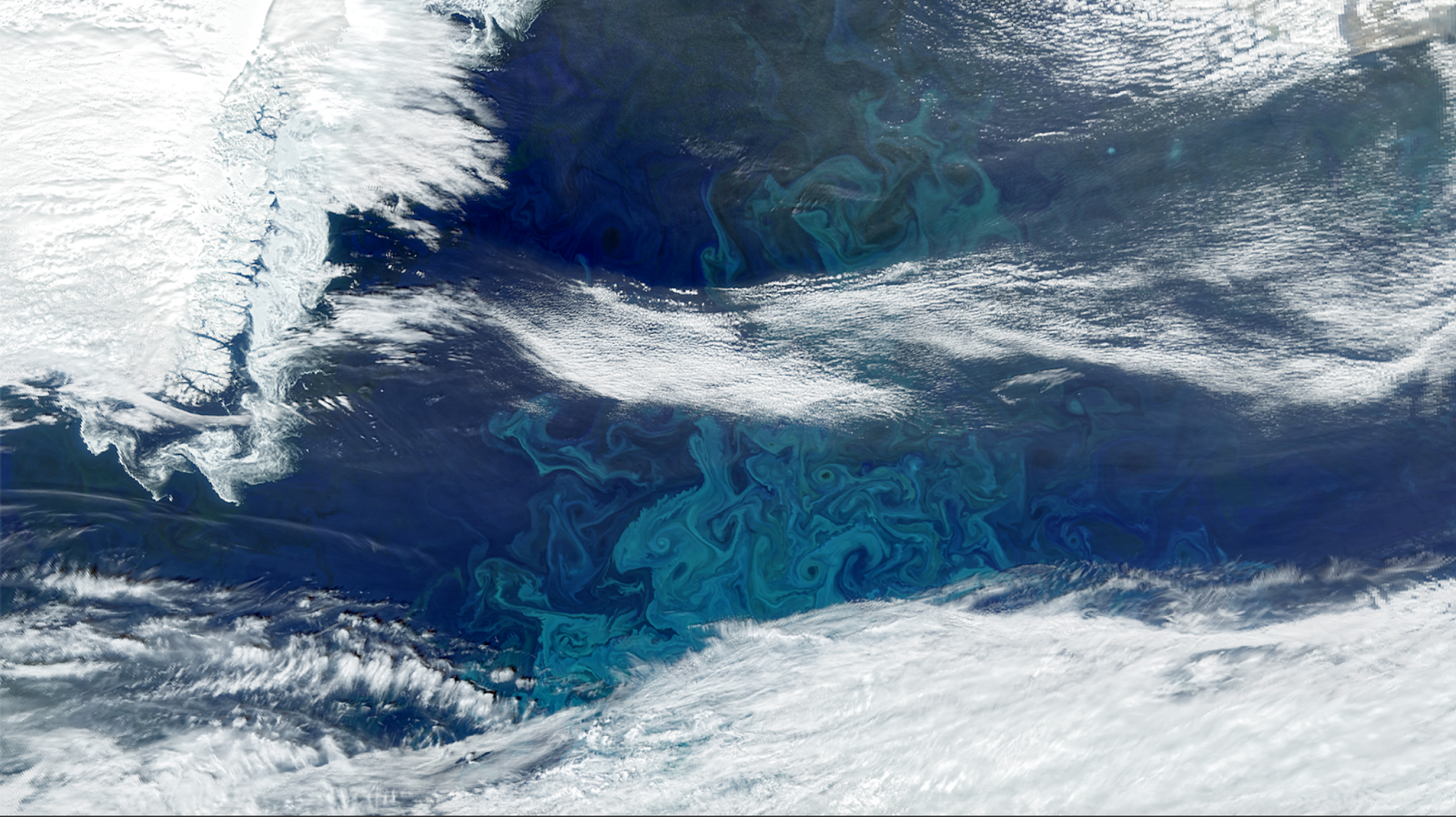 Colors of the Ocean