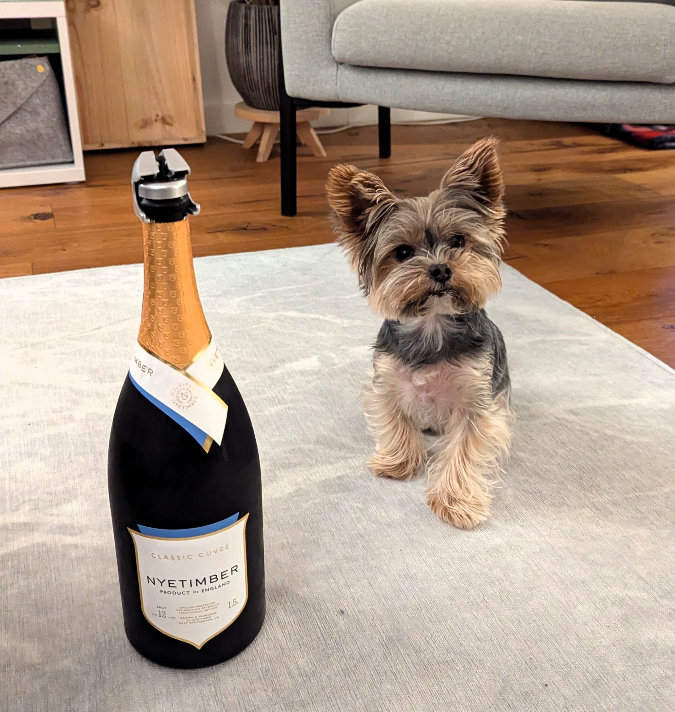 Fizz Fixes for the Festive Season - by Vicky Hampton