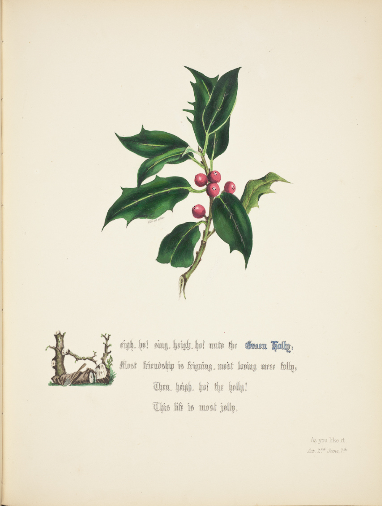 The Shakespeare Garden: Jane Elizabeth Giraud's Posies and Elizabethan ...