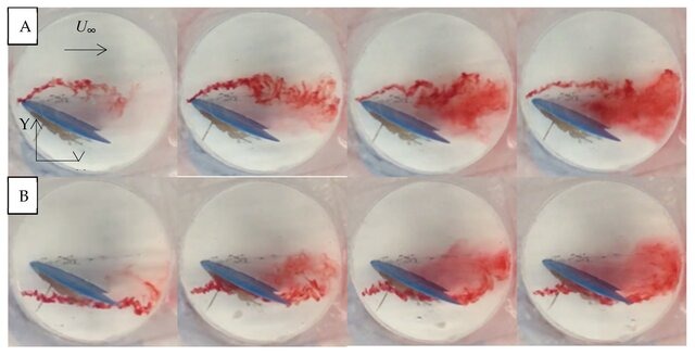 Fins Part One: Why does fin shape matter? - by Kevin Okun