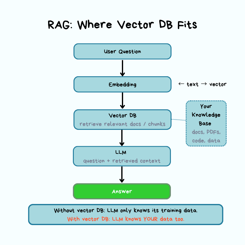 What is a Vector Database - by Maxine Meurer and Neo Kim