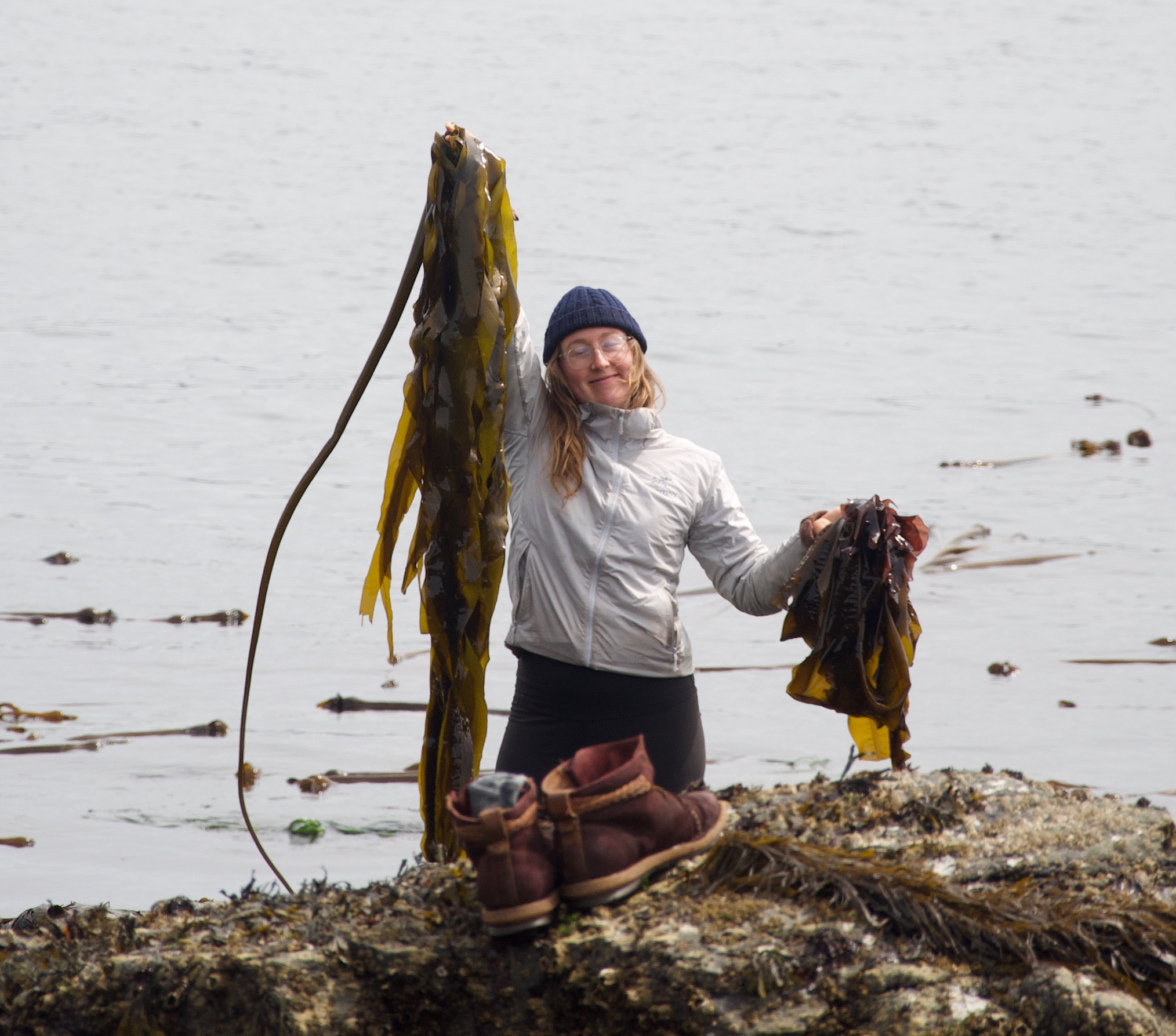 The Art of Underwater Adhesion: Seaweed Holdfasts