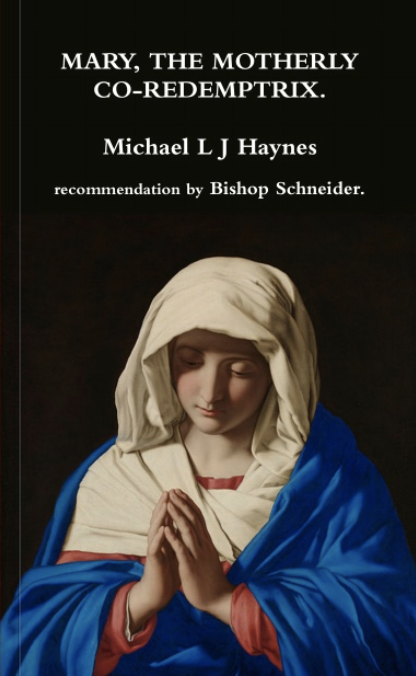 What did the popes say about Mary as Co-redemptrix?