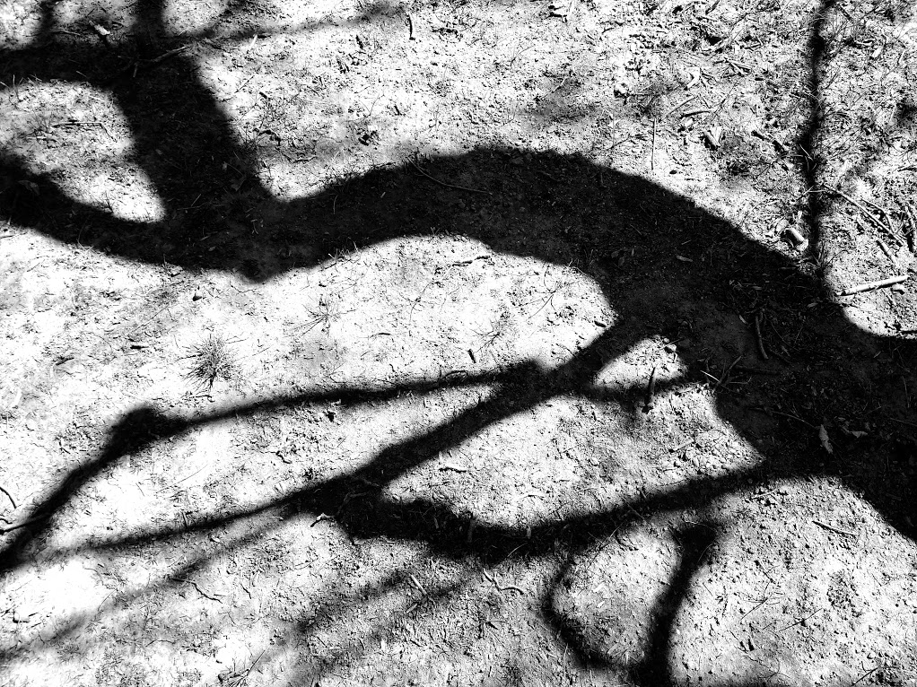 Memory's Axis Mundi - by Henry Long - Henry's Substack