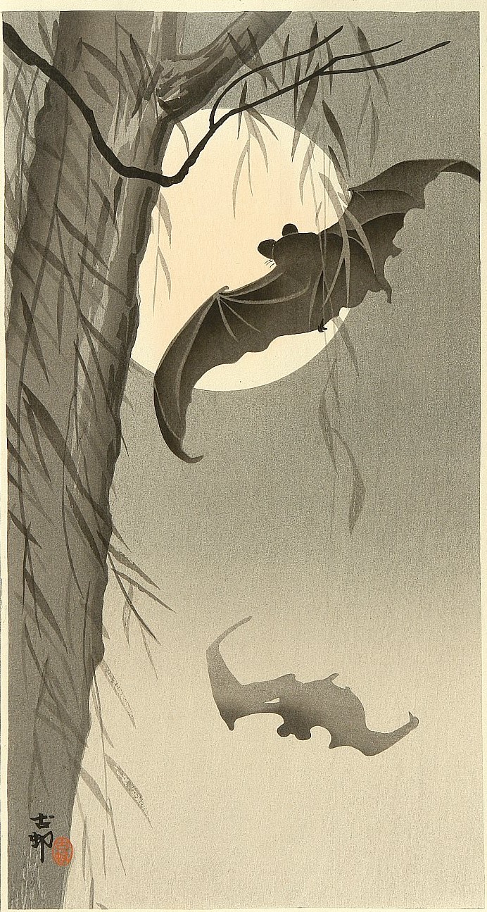 Bats in Japanese Folklore - Hanashi by Curious Ordinary