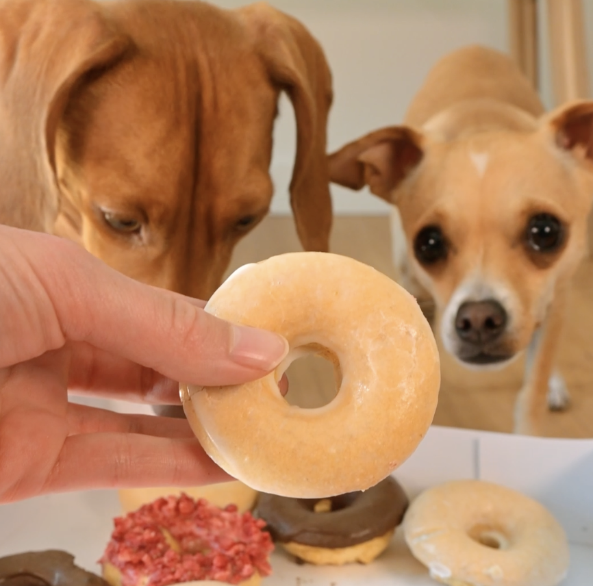 Dogkin Donuts - by thecedlife - Precious Kitchen Cookbook