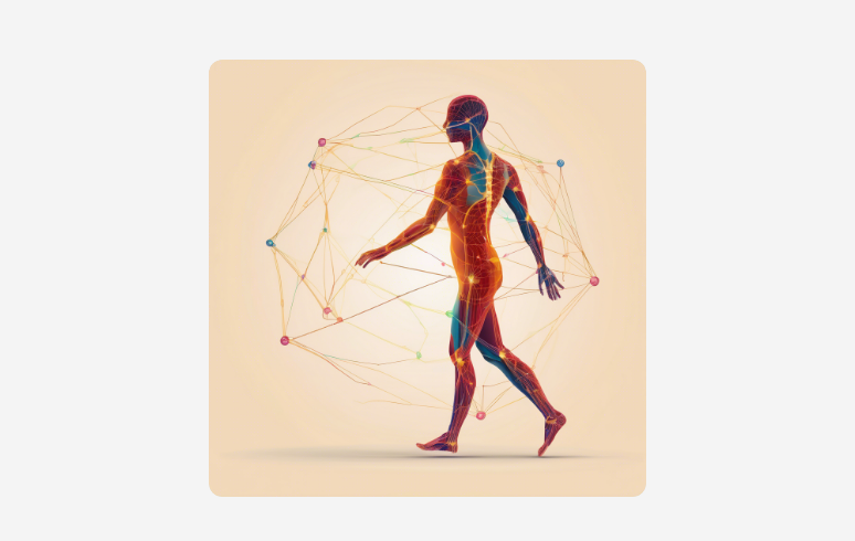 Interconnections in the Human Body from a Physical Perspective