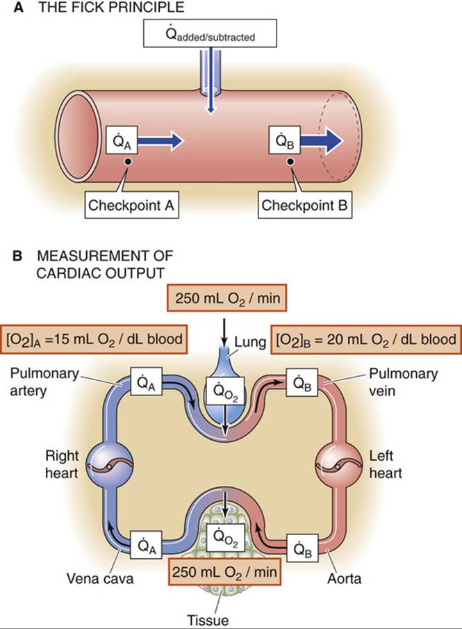Why VO2 max Declines with Age, and What to Do about It.