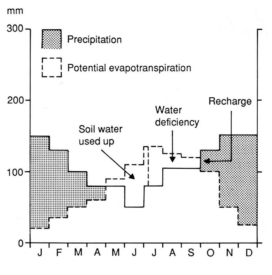 The Water Budget - by Ritchie Cunningham