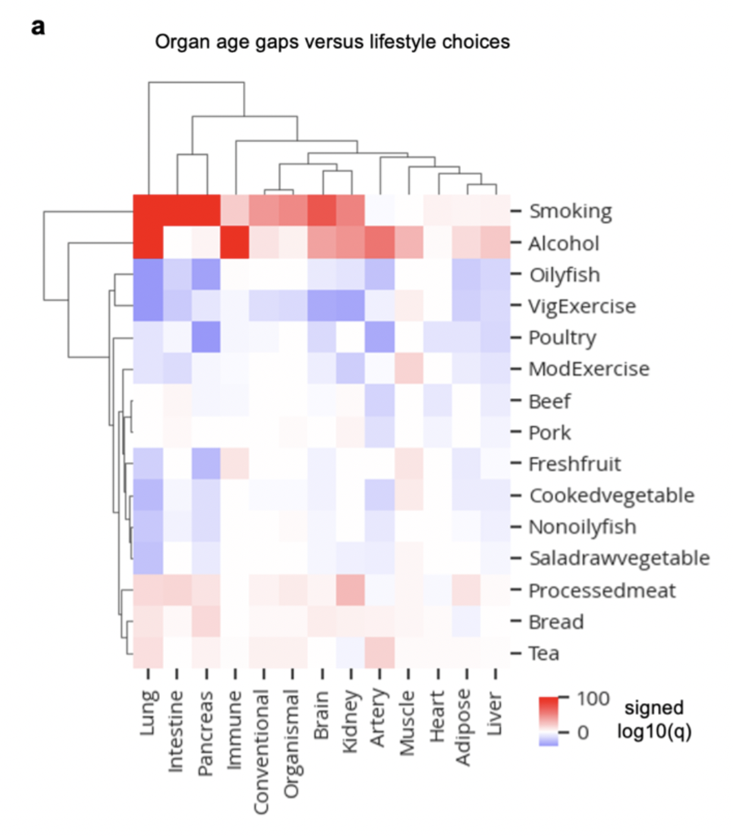 The Emergence of Protein Organ Clocks - by Eric Topol