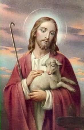 Jim Palmer (@jimpalmerauthor): ""Jesus was not some sweet, neatly ...