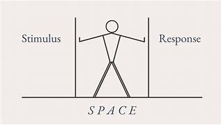 "Between Stimulus and Response: Viktor Frankl’s Path to Growth and Freedom”