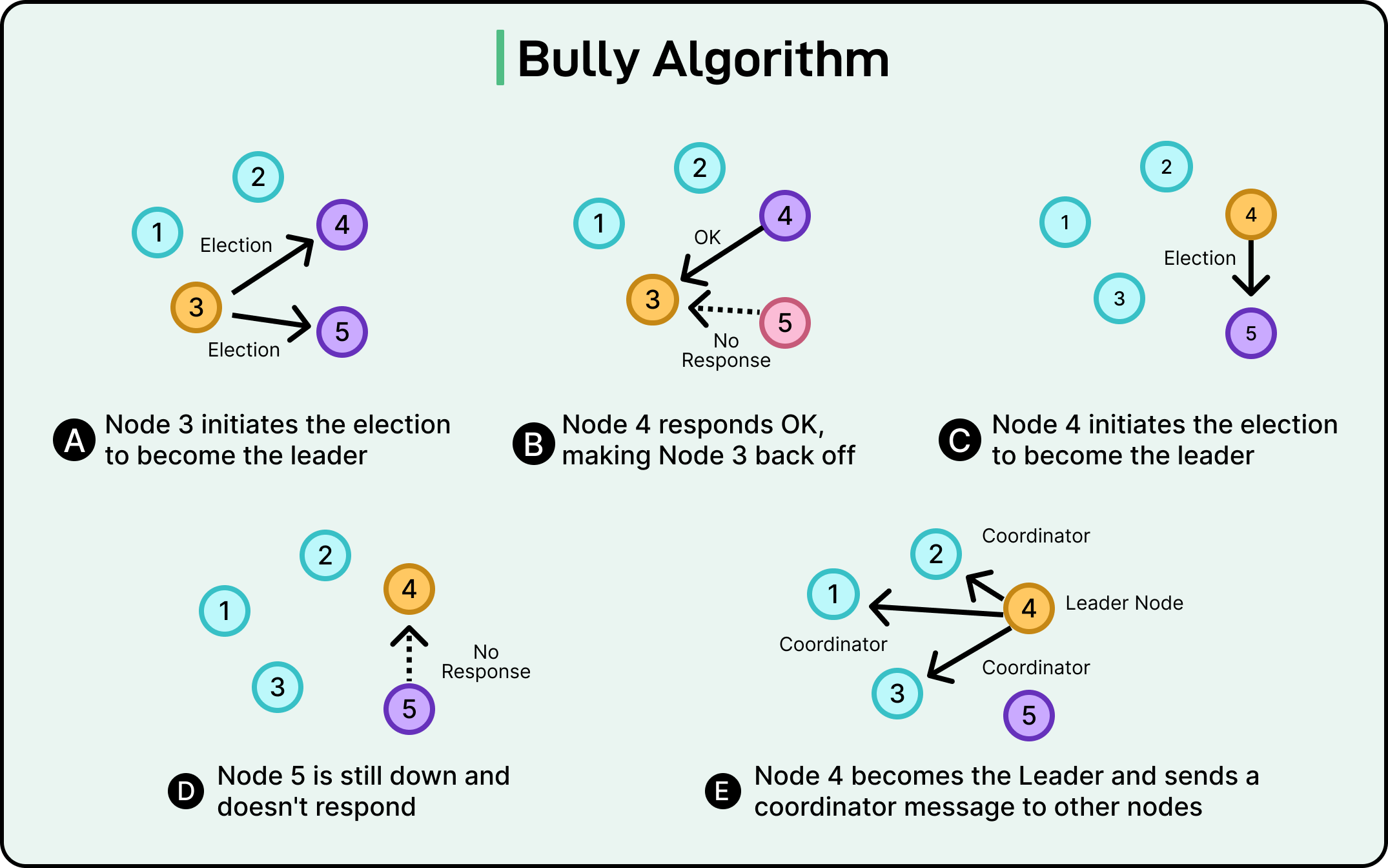 Top Leader Election Algorithms in Distributed Databases