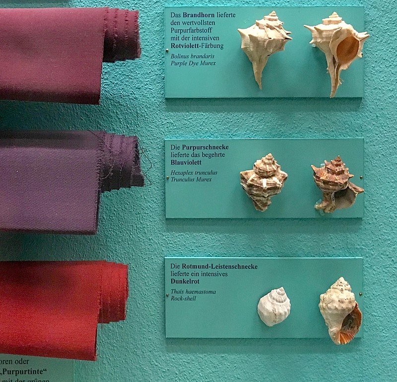 The Dye That Ruled Empires: The Chemistry of Tyrian Purple