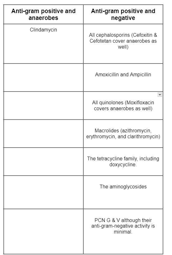 Antibiotic Spectrum Guide: Gram-Positive, Negative, Anaerobe