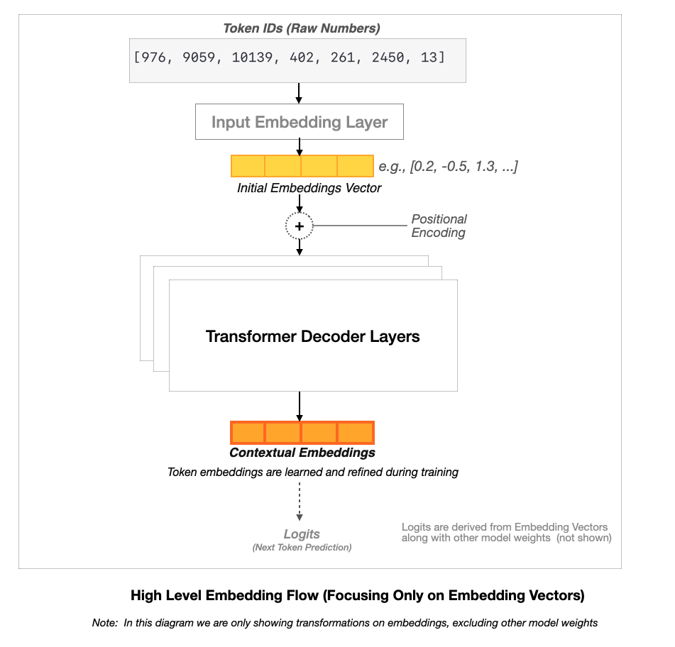 Tokens and Embeddings: The Hidden Language of LLMs