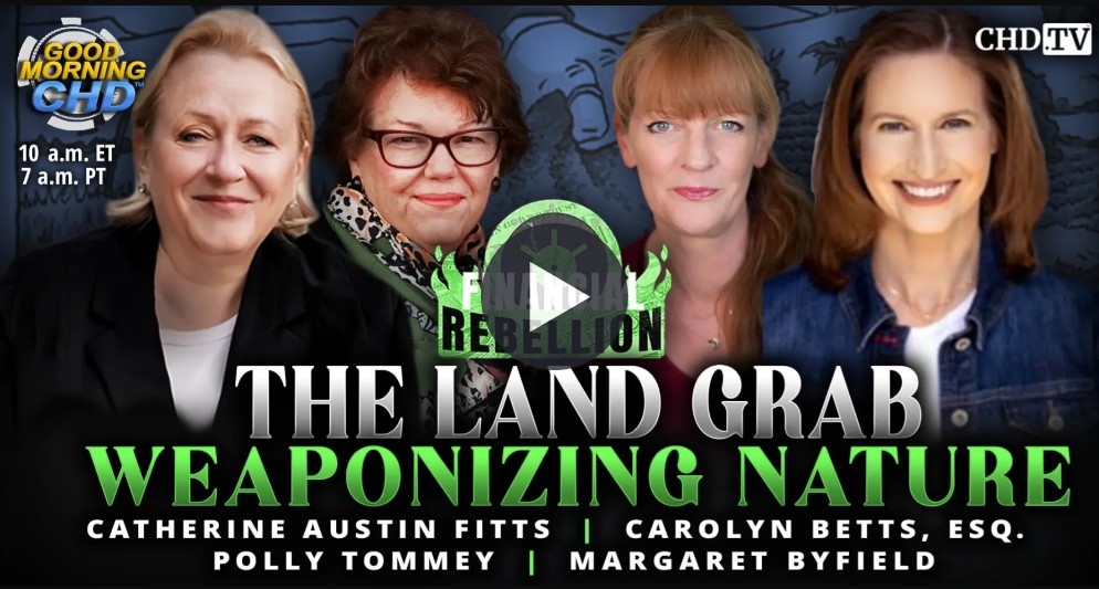 Big E on Substack: "Financial Rebellion: The Land Grab: Weaponizing Nature (09/19/24, video 01 ...