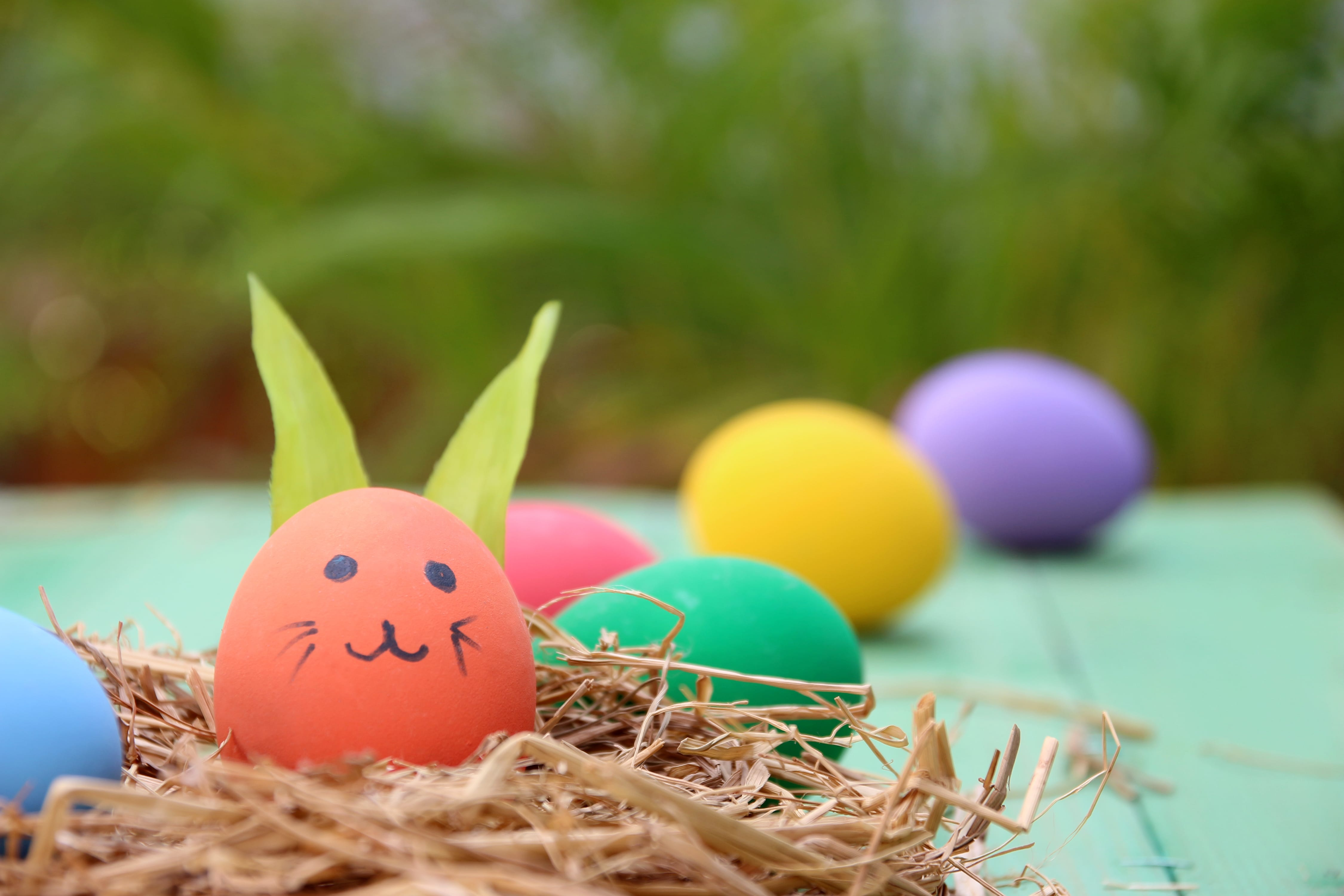 Egg Hunts, Festivals, and Family Fun: Easter Weekend Events Across ...