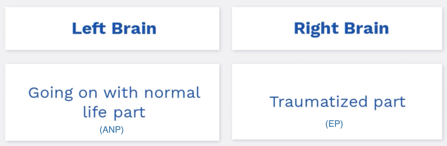 The Fragmented Self: How Trauma Creates Parts and Why Integration Heals ...