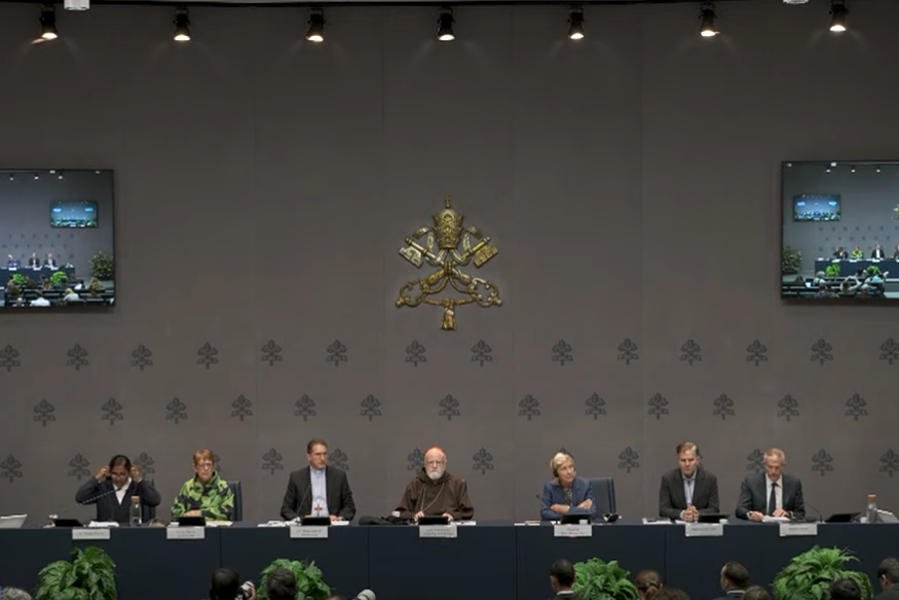 Vatican issues first child protection report. Here's what it says