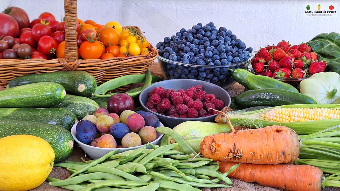 February 2024 Planting Guide and Garden Update
