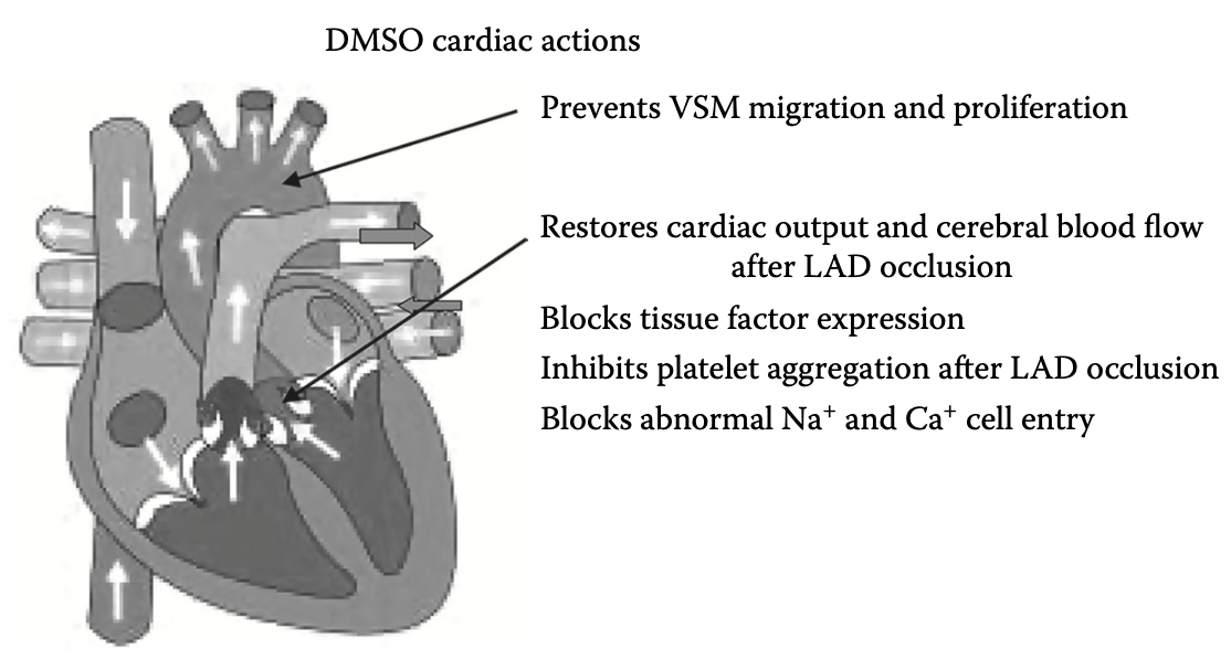 DMSO Could Save Millions From Brain and Spinal Injury