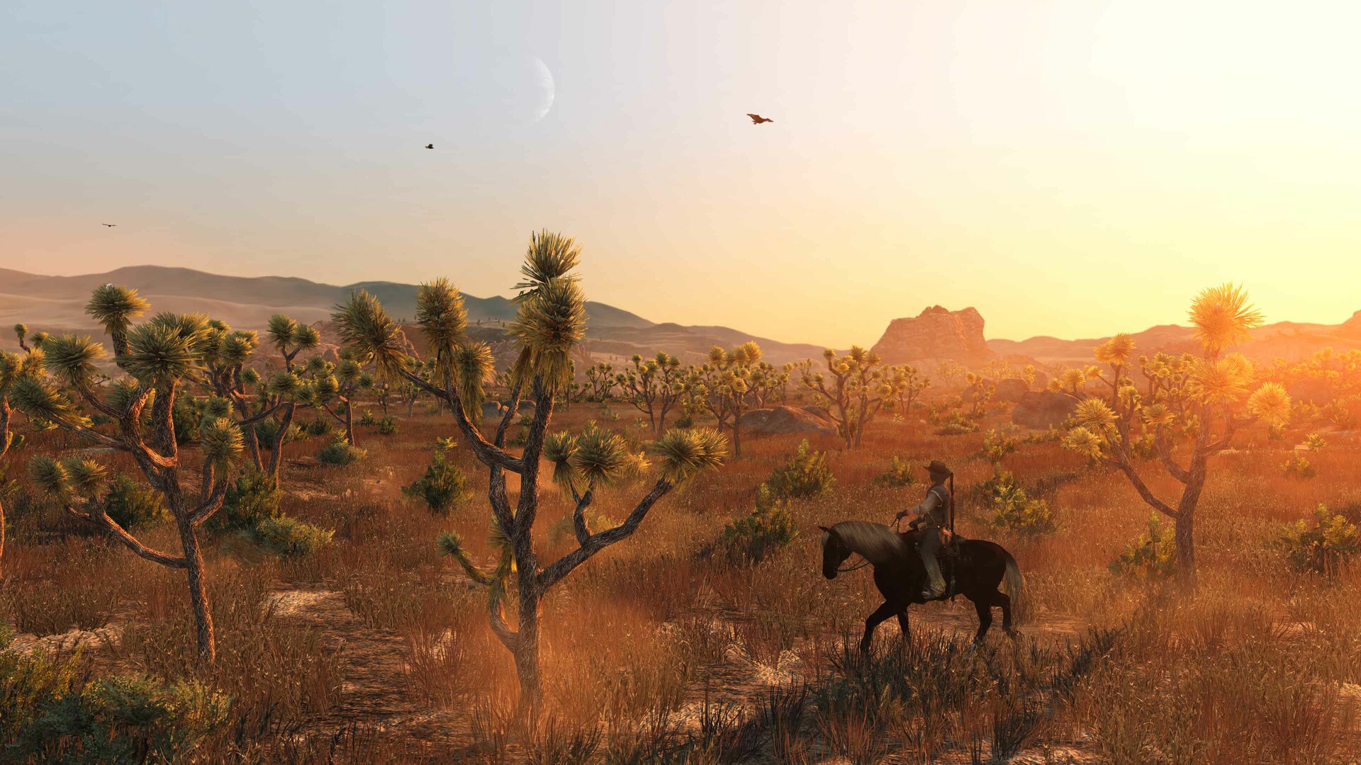 The Misunderstood Delights of Desert Levels